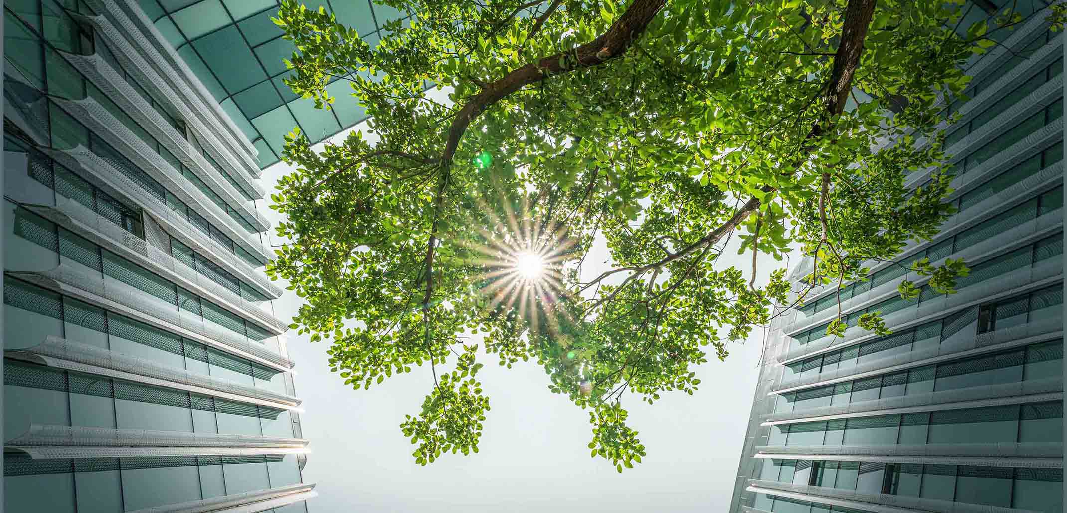 Business Plan for the Planet | HSBC Commercial Banking SG