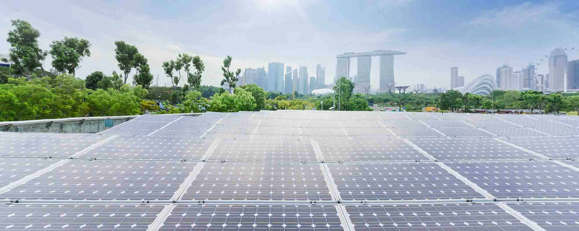 Green Shoots: The Dawn of a New Sustainable Investment Age in ASEAN